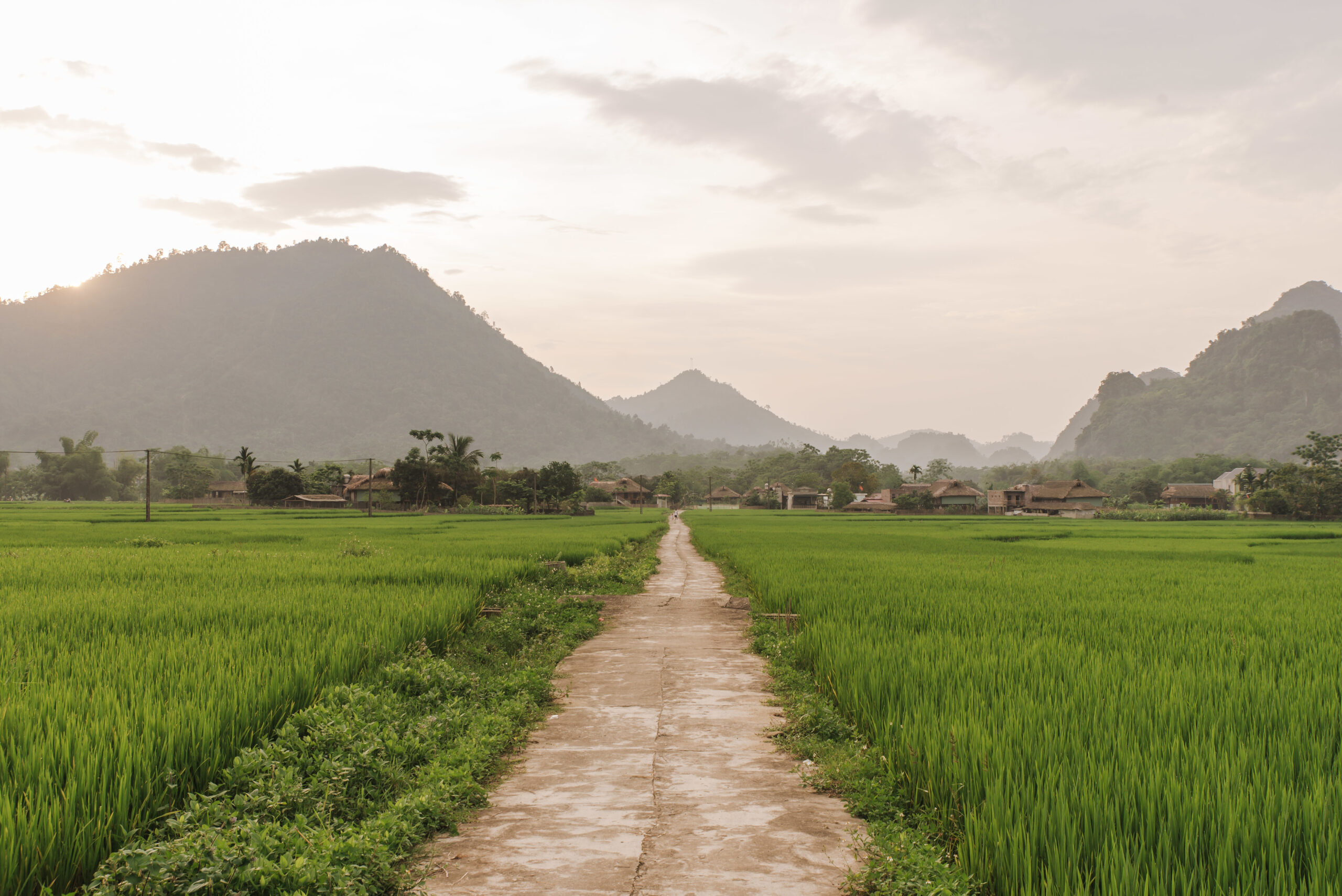 Farm to Market Roads in the Philippines: Building Better Paths for ...